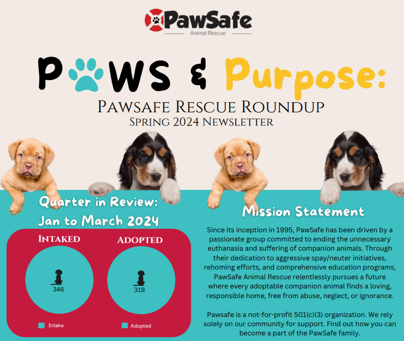 PawSafeAnimal Rescue – Animal Rescue Organization | Non-Profit ...