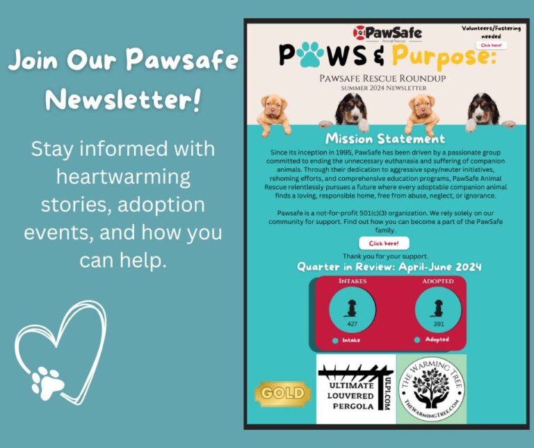 PawSafeAnimal Rescue – Animal Rescue Organization | Non-Profit ...